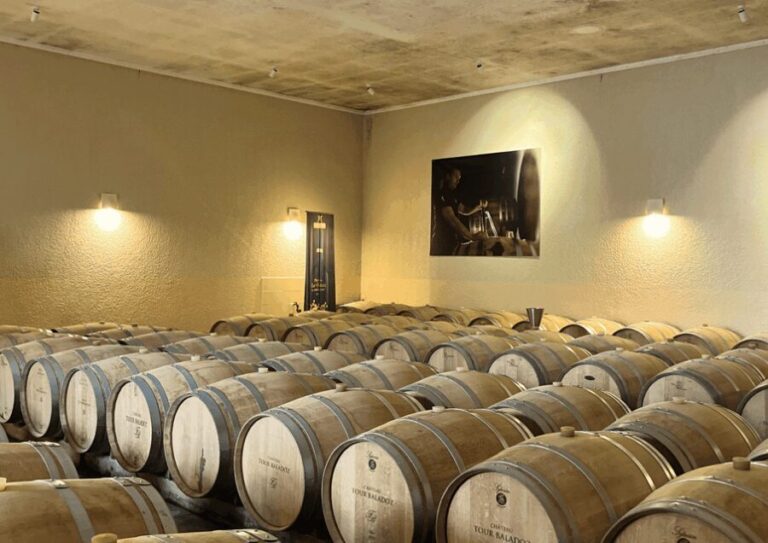 Bordeaux : Unforgettable Saint Emilion Half Day Wine Tour - Detailed Breakdown of the Itinerary