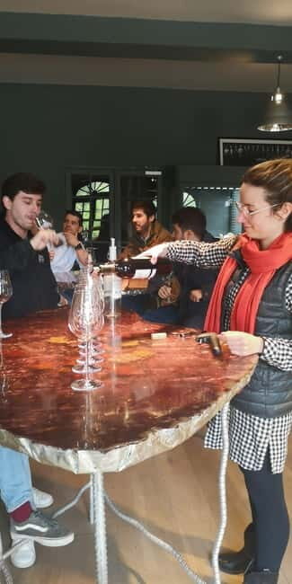 Bordeaux wine tour: 2 wineries & wine tastings (red & white) - First Stop: Organic Wines in Pessac-Léognan