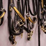 Borgarnes: Horseback Riding Tour with Prep Lesson - What the Experience Looks Like