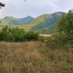 Borjomi Tour from Tbilisi with Bakuriani Resort and Soviet Train Ride - Practicalities and Value