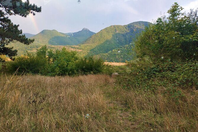 Borjomi Tour from Tbilisi with Bakuriani Resort and Soviet Train Ride - Practicalities and Value