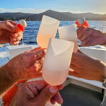 Bormes-les-Mimosas: Aperitif Tasting Cruise at Sea on an electric boat - Navigating Practicalities: What You Should Know