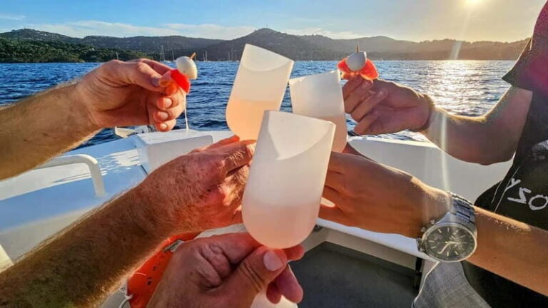 Bormes-les-Mimosas: Aperitif Tasting Cruise at Sea on an electric boat - Navigating Practicalities: What You Should Know