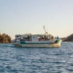 Bormes-les-Mimosas: Sea trip in the heart of Port-Cros National Park - What to Expect on the Trip