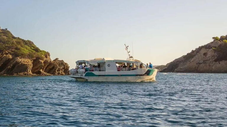 Bormes-les-Mimosas: Sea trip in the heart of Port-Cros National Park - What to Expect on the Trip