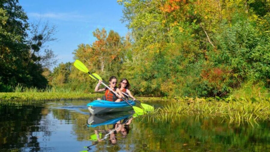 Bosa: Temo River Kayak Rental - Real-World Feedback from Travelers