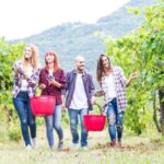 Boscotrecase: Vesuvius Wine Tasting Tour With Lunch - What to Expect on the Day