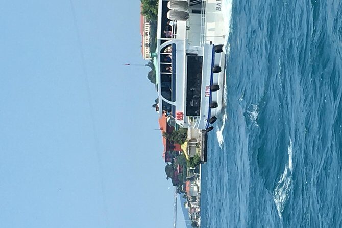 Bosphorus Cruise With Dolmabahçe Palace and Fortresses - A Scenic Bosphorus Cruise