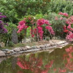 Botanical Garden & Aromas of the Wild Nature Adventures - An In-Depth Look at the Experience