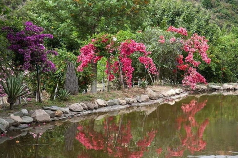 Botanical Garden & Aromas of the Wild Nature Adventures - An In-Depth Look at the Experience