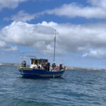 Bottom Fishing Lagos - Why This Tour Offers Genuine Value