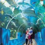 Bournemouth Oceanarium Ticket - FAQ