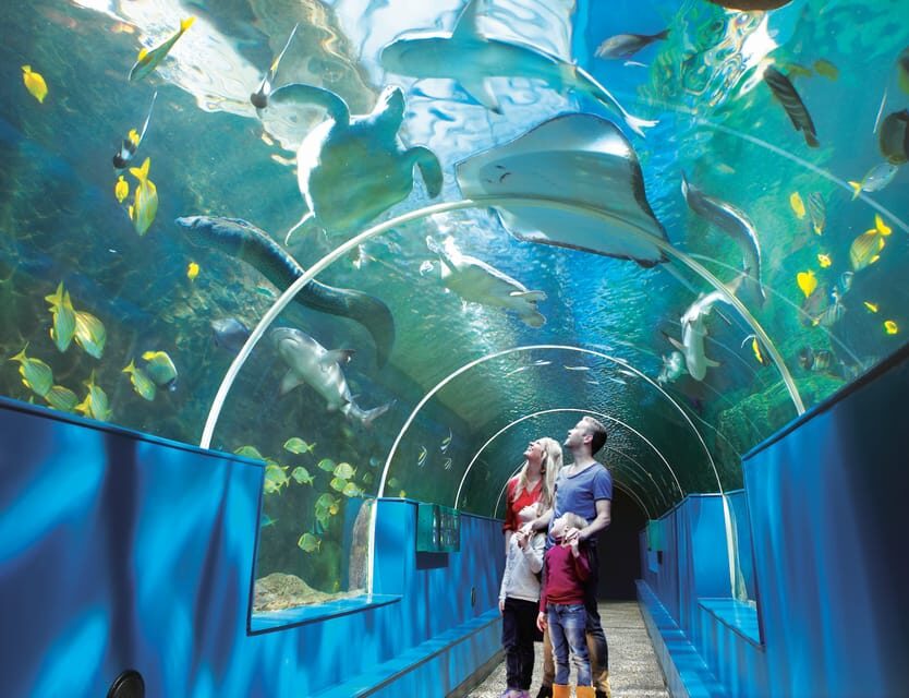 Bournemouth Oceanarium Ticket - FAQ