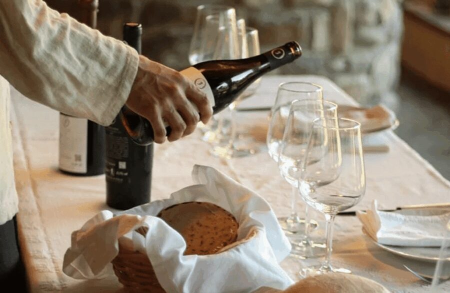 Boutique Winery Tour & Tasting in North Tuscany - The Value of This Experience