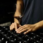 Boutique Winery Tour with Wine Tasting & Food in Bologna - Practical Details and What You Should Know