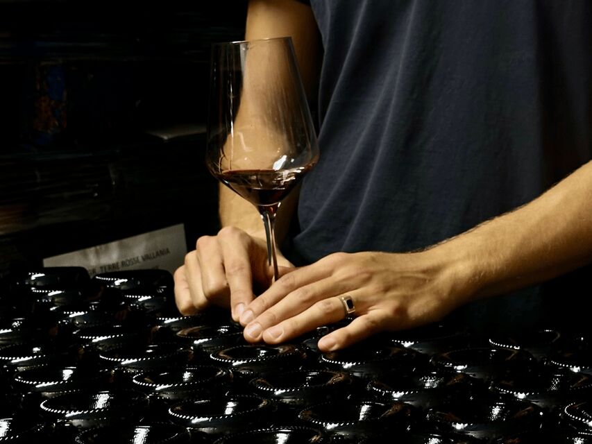 Boutique Winery Tour with Wine Tasting & Food in Bologna - Practical Details and What You Should Know
