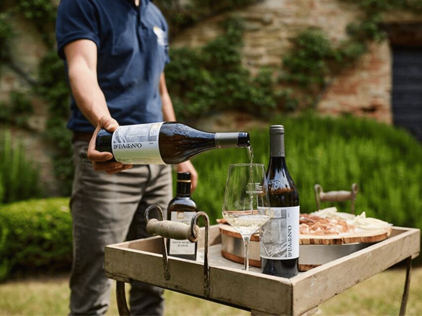 Boutique Winery Visit & 5 Organic Wine Tastings near Urbino - Who Will Enjoy This Tour?