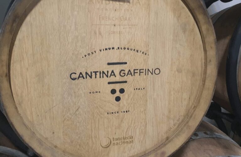 Boutique Winery Visit & Tasting near Rome - Final Thoughts