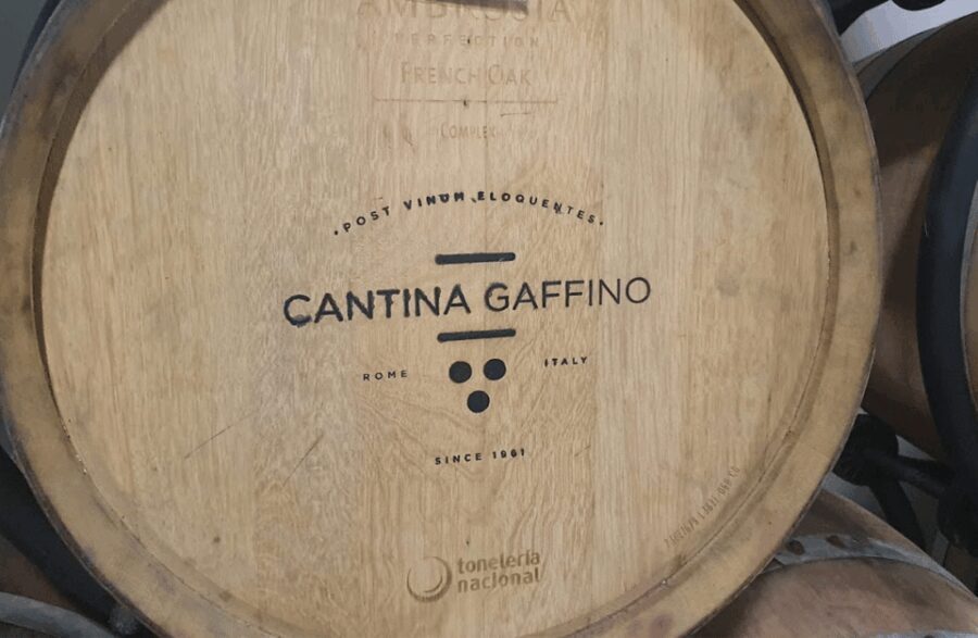 Boutique Winery Visit & Tasting near Rome - Final Thoughts