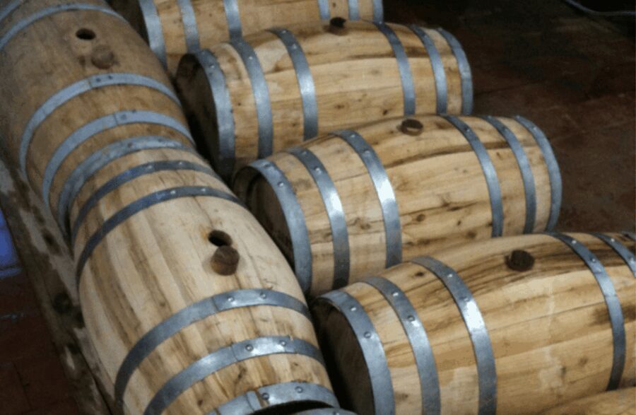 Boutique Winery Visit & Wine Tasting near Arezzo - The Vineyard Walk: A Scenic Introduction