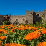Braga & Guimarães Day Trip from Porto - The Experience in Detail