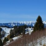 Braila to Bucharest - Private Guided Transfer - Car and Driver - Insights from Real Travelers