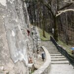 Bran Castle, Bear Sanctuary, and Rasnov Fortress Half Day Tour - What Makes This Tour Stand Out?