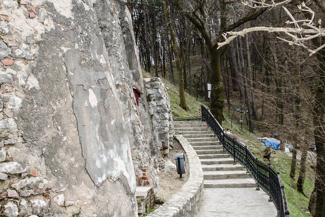 Bran Castle, Bear Sanctuary, and Rasnov Fortress Half Day Tour - What Makes This Tour Stand Out?