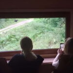 Braov: 4-Hour Bear Watching Tour in Carpathian Mountains - Who Should Book This Tour?