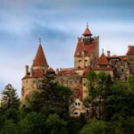 Brasov: Bear Sanctuary, Dracula Castle, and Rânov Fortress - The Itinerary in Detail