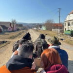 Brasov: Crafts, History & Cuisine of Transylvania Experience - The Value of the Experience