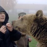 Brasov: Libearty Bear Sanctuary - Evaluating the Value