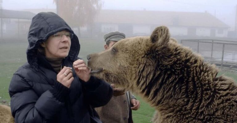 Brasov: Libearty Bear Sanctuary - Evaluating the Value