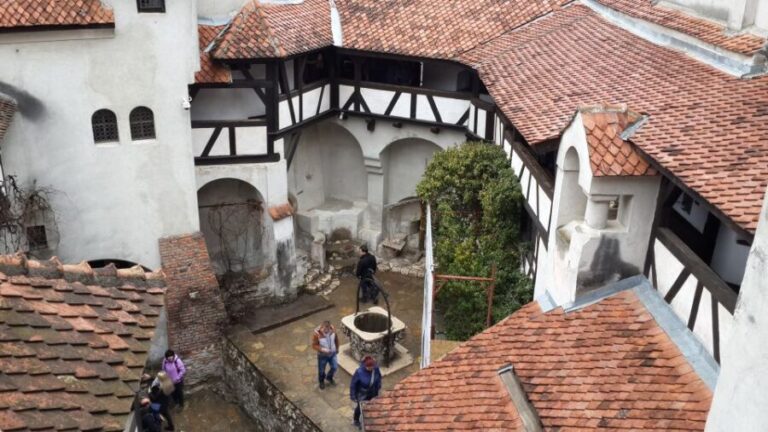 Brasov: Peles Castle, Bran Castle & Rasnov Fortress Day Tour - Practical Details: What Matters for Travelers