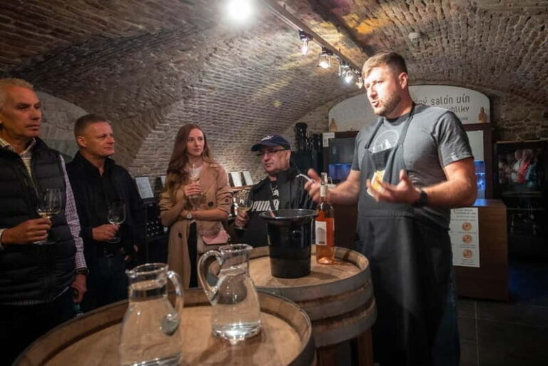 Bratislava: Slovakian Wine Tasting Experience - Who Will Love This Experience?