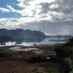 Bréhat: a guided tour of its superb landscapes - Who Will Get the Most from This Tour?