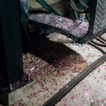 Bremen: Underworld Tour with the Cellar of the Theatre - The Value of a Guided Underground Tour
