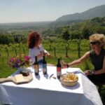 Brescia: day trip to Botticino with wine tasting at Noventa - The Heart of the Tour: Tasting in the Vineyard
