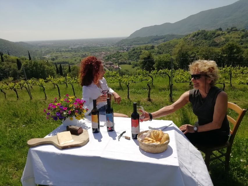 Brescia: day trip to Botticino with wine tasting at Noventa - The Heart of the Tour: Tasting in the Vineyard