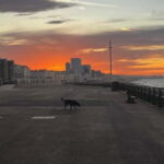 Brighton Beach: Sunrise Hatha Yoga Class with Ocean Views - A Detailed Look at the Brighton Sunrise Yoga Experience