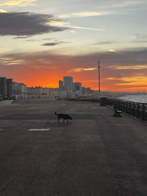 Brighton Beach: Sunrise Hatha Yoga Class with Ocean Views - A Detailed Look at the Brighton Sunrise Yoga Experience