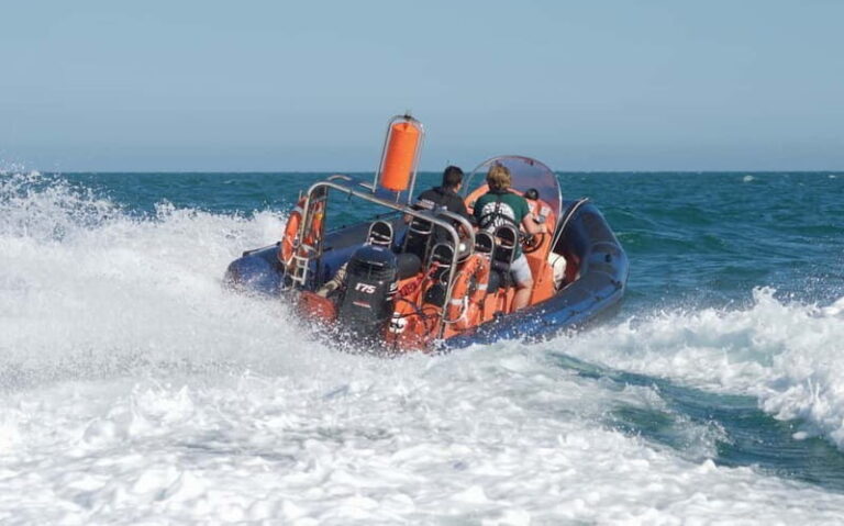 Brighton: Powerboat Ride - Final Thoughts: Is It Worth It?