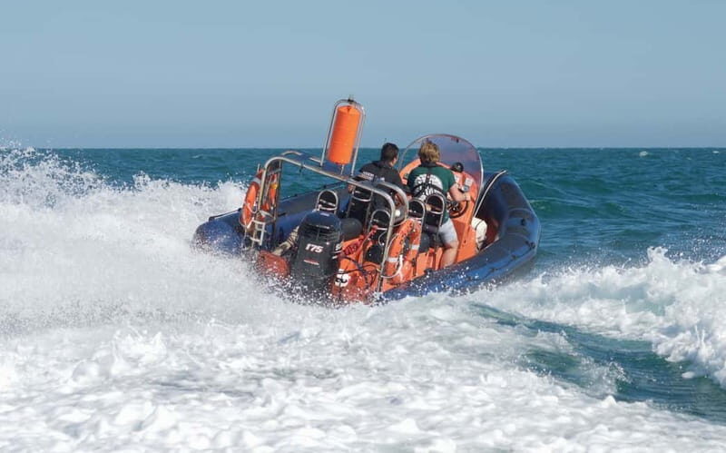 Brighton: Powerboat Ride - Final Thoughts: Is It Worth It?