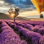 Brihuega: Balloon Flight Above Lavender Fields - The Landing and Celebration