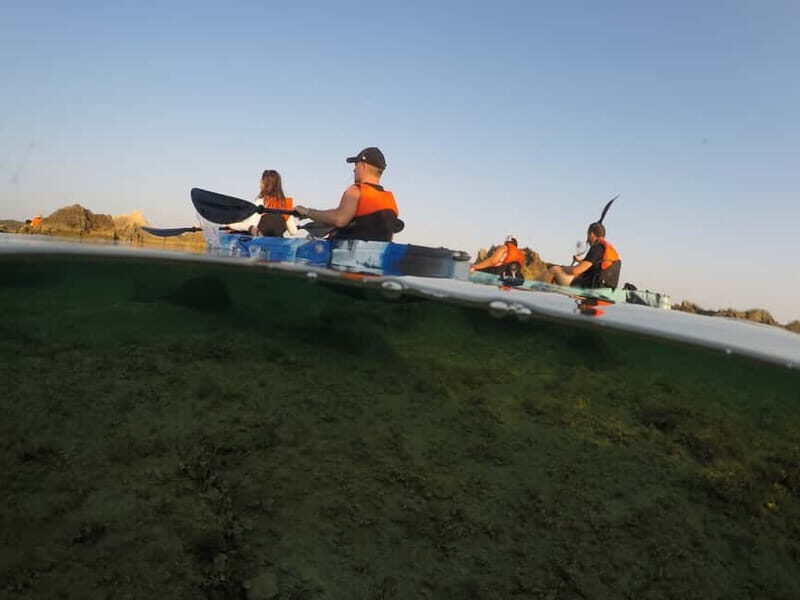 Brindisi: Kayaking at Sant'Andrea Island - The Wildlife Encounters
