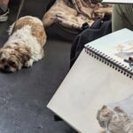 Bristol: Dog Life Drawing led by local Artist Cai Burton - The Value of the Experience
