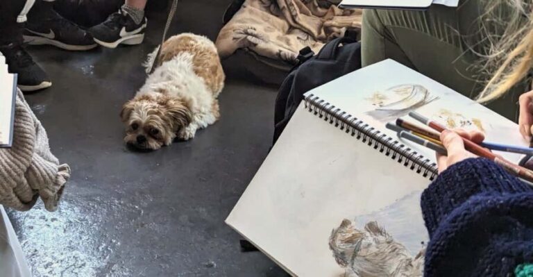 Bristol: Dog Life Drawing led by local Artist Cai Burton - The Value of the Experience