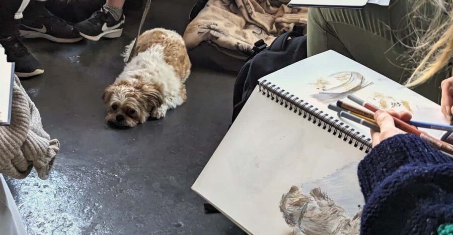 Bristol: Dog Life Drawing led by local Artist Cai Burton - The Value of the Experience