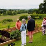 Bristol: Wine & Cheese in the Cheddar Valley - Why This Tour Works