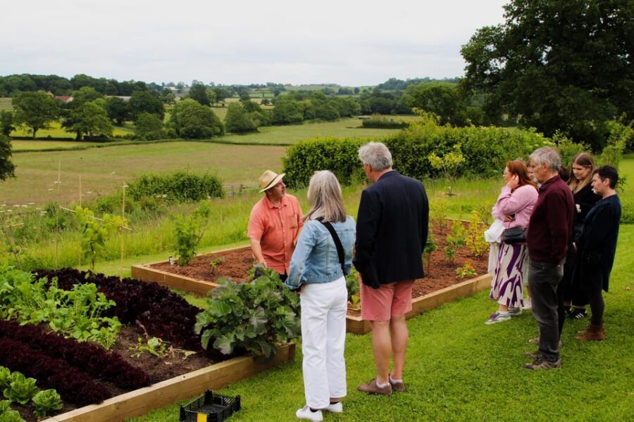 Bristol: Wine & Cheese in the Cheddar Valley - Why This Tour Works